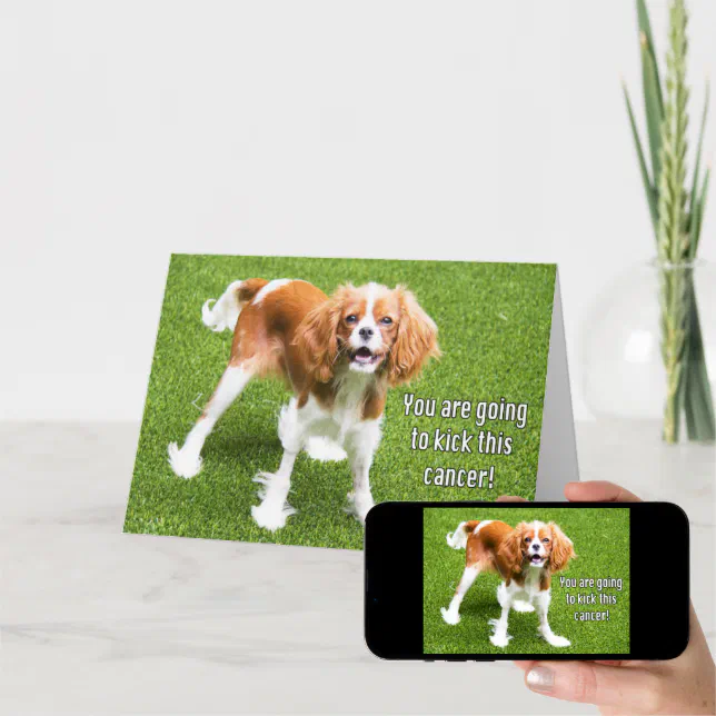Cavalier King Charles Kick This Cancer Card | Zazzle