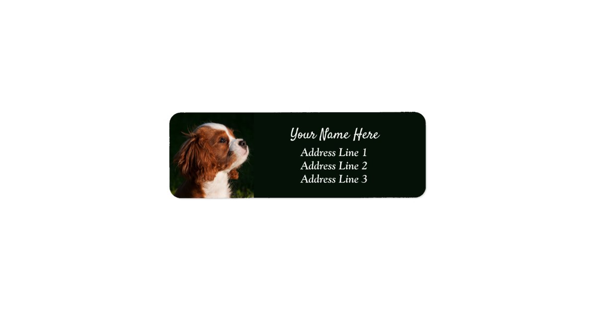 Cavalier King Charles Puppy Return Address Label | Zazzle