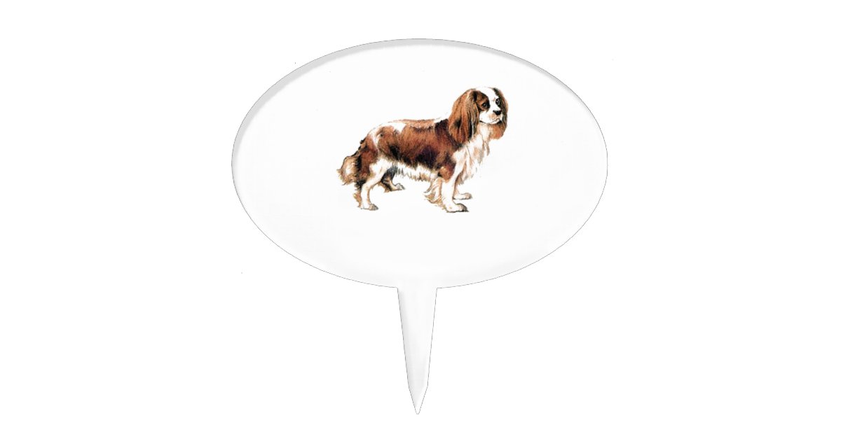 Cavalier King Charles Spaniel Cake Topper | Zazzle