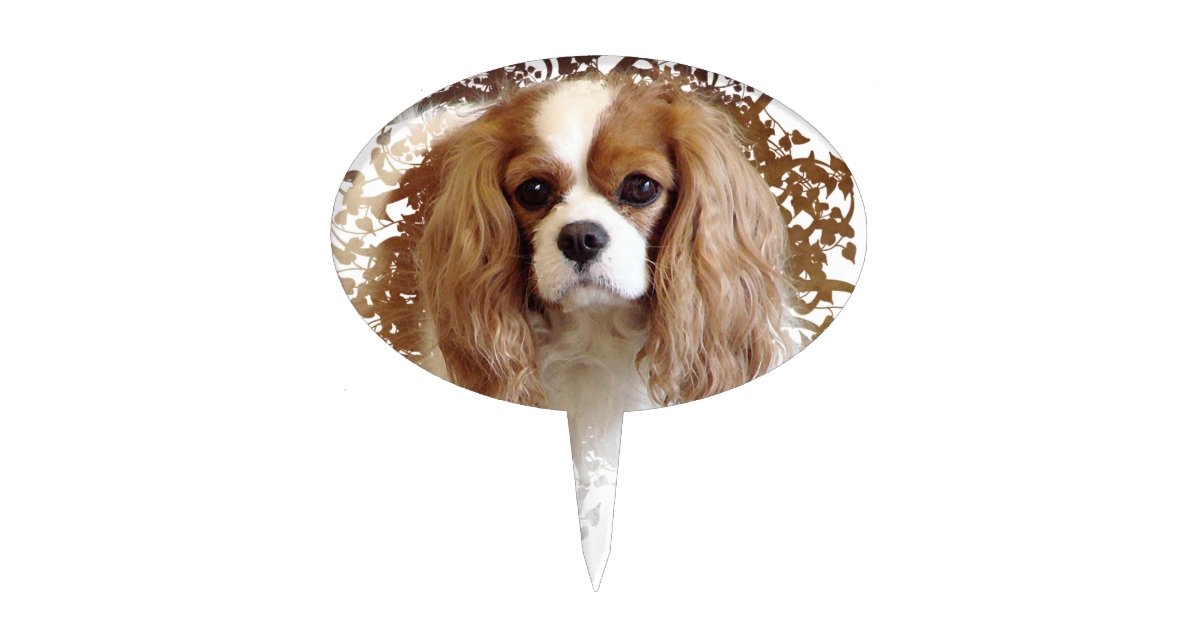 Cavalier King Charles Spaniel Cake Topper | Zazzle