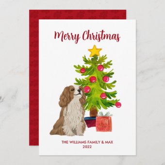 Cavalier King Charles Spaniel Christmas Card | Zazzle