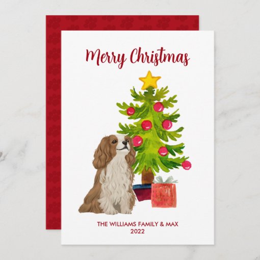 Cavalier King Charles Spaniel Christmas Card | Zazzle