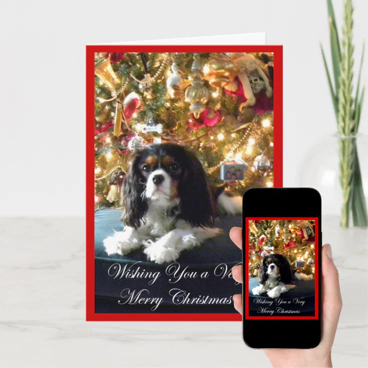 Cavalier King Charles Spaniel Christmas Card | Zazzle