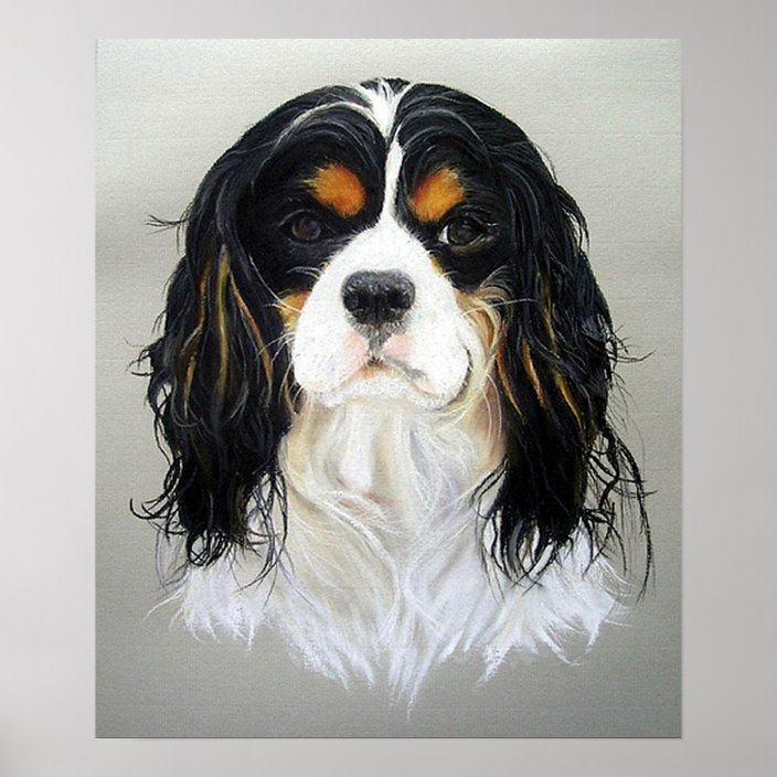 Cavalier King Charles Spaniel Dog Poster Print | Zazzle.com