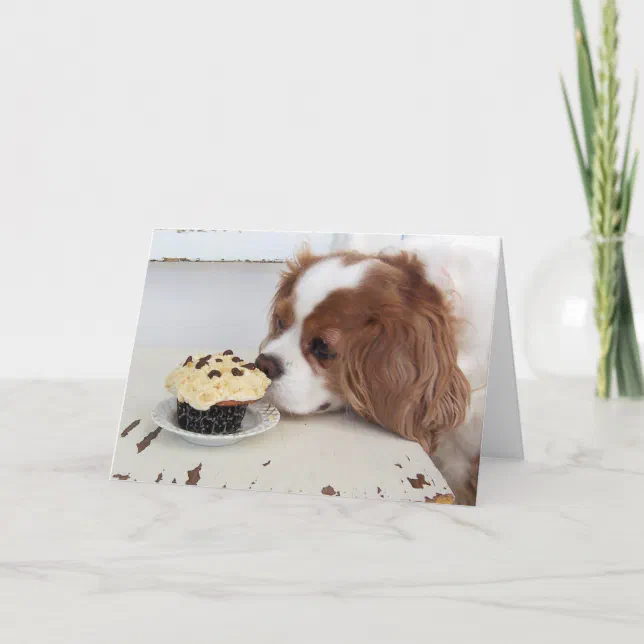 Cavalier King Charles Spaniel Fridays Cupcake Card | Zazzle