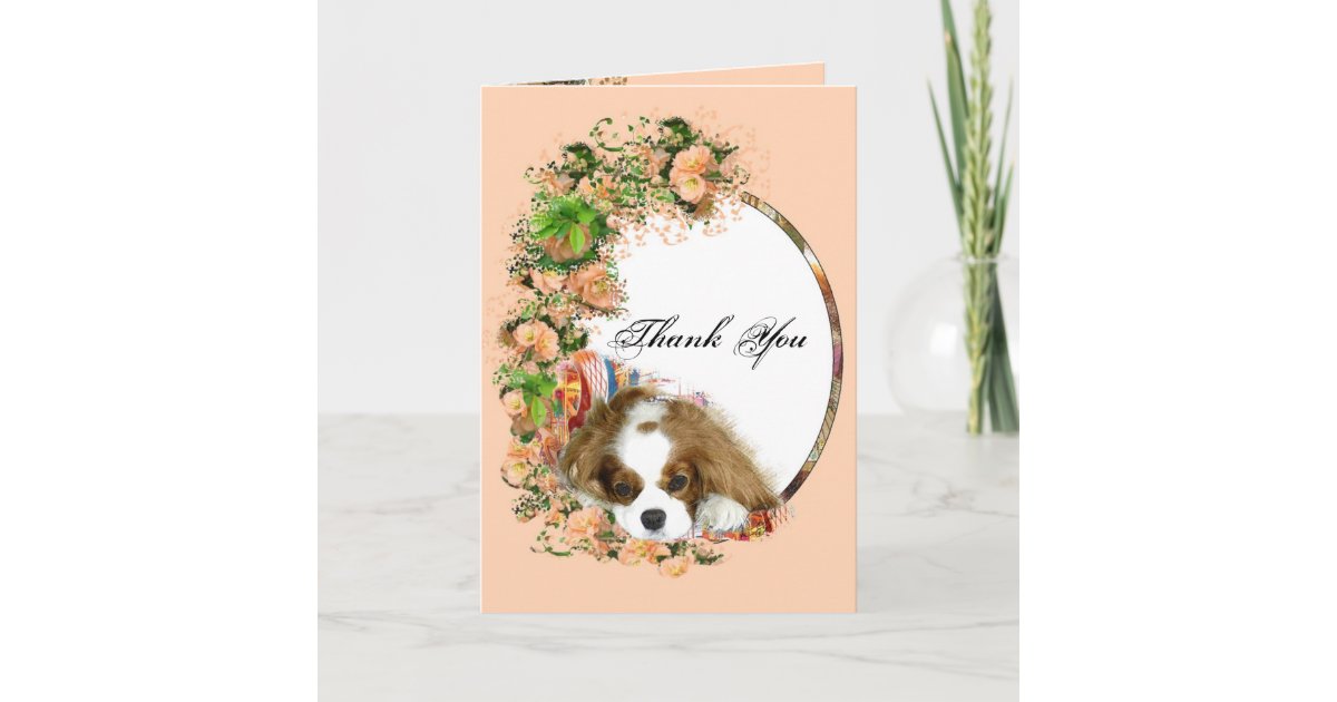 Cavalier King Charles Spaniel Thank You Card | Zazzle