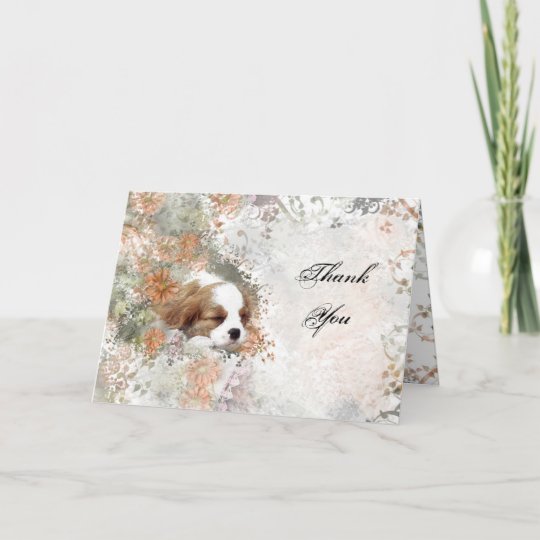 Cavalier King Charles Spaniel Thank You Card | Zazzle.com