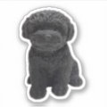 Cavapoo Cavoodle Cockerpoo Puppy black dog Sticker | Zazzle