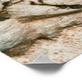 Cave drawings Lascaux French Prehistoric Poster | Zazzle