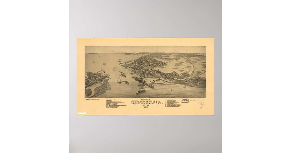 Cedar Key Florida 1884 Panoramic Map Poster | Zazzle