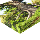 Cedar-of-Lebanon Tree Canvas Print | Zazzle