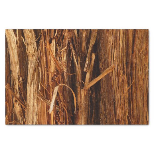 Cedar Textured Wooden Bark Look Tissue Paper | Zazzle.com