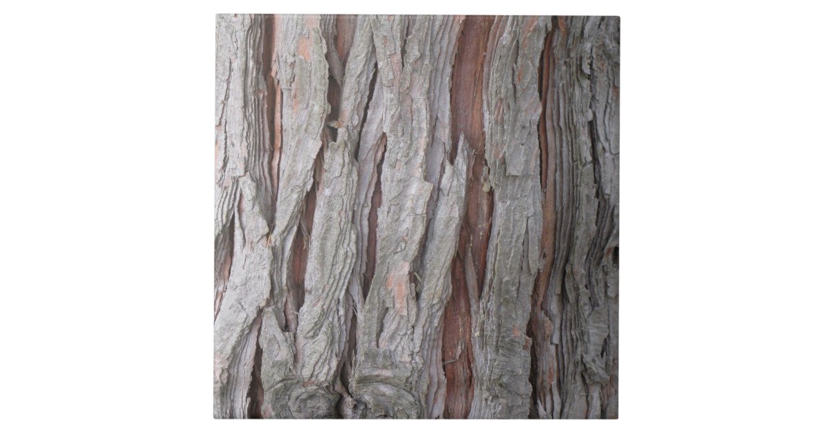 Cedar tree bark texture ceramic tile | Zazzle