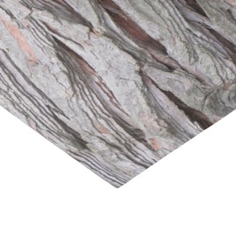 Cedar tree bark texture tissue paper | Zazzle