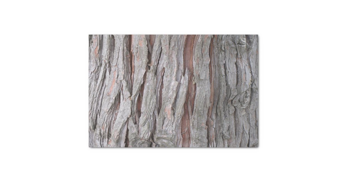 Cedar tree bark texture tissue paper | Zazzle