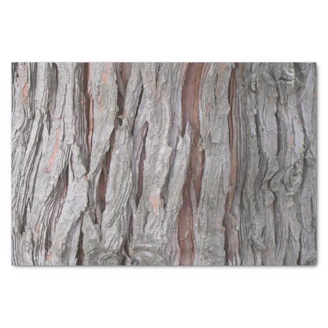 Cedar tree bark texture tissue paper | Zazzle