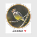 Cedar Waxwing Songbird Original Wild Bird Photo Sticker | Zazzle
