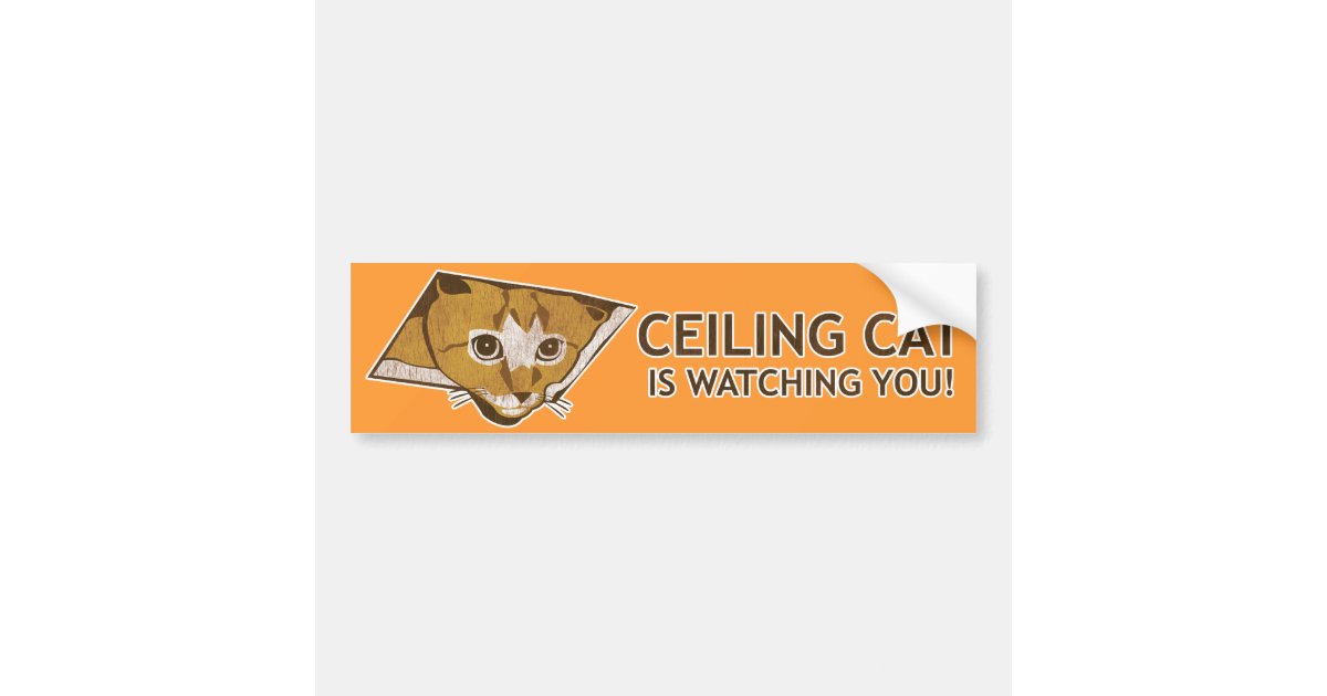 Ceiling Cat is watching you! Bumper Sticker | Zazzle