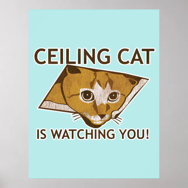 Ceiling Cat Poster | Zazzle