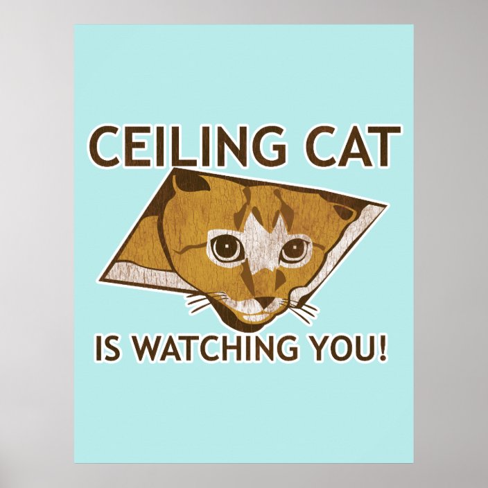 Ceiling Cat Printable - Printable Word Searches