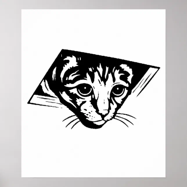 Ceiling Cat Poster | Zazzle