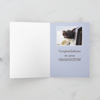 Celebrate Congratulations GRADUATION Happy Dog Card | Zazzle
