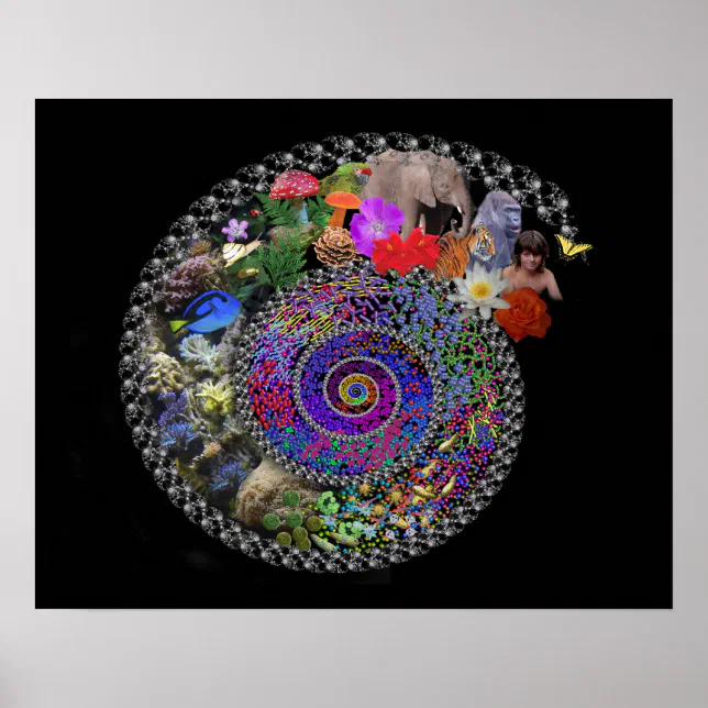 Celebrate Evolution Poster | Zazzle