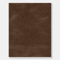 Celebration of Life Brown Funeral Framed Photo Foam Board | Zazzle