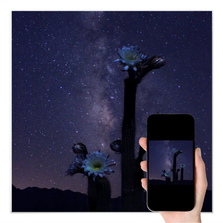 Celebration Under the Stars Poster | Zazzle