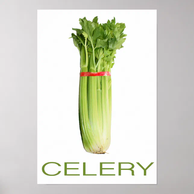 Celery Poster | Zazzle