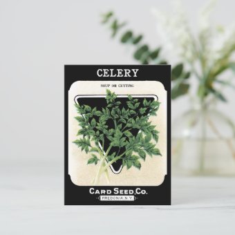 Celery Seed Packet Green Black Vegetable Garden Postcard | Zazzle