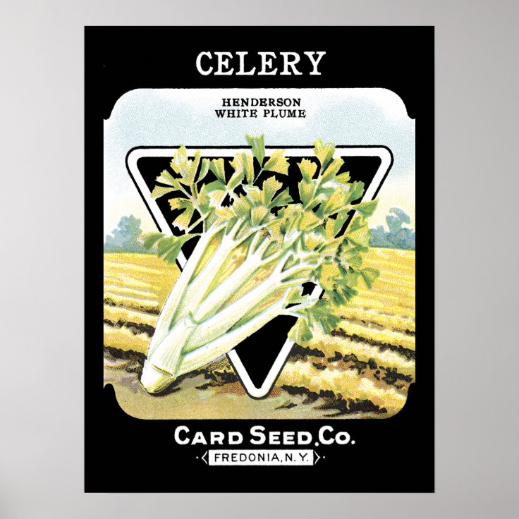 Celery Seed Packet Label Poster | Zazzle