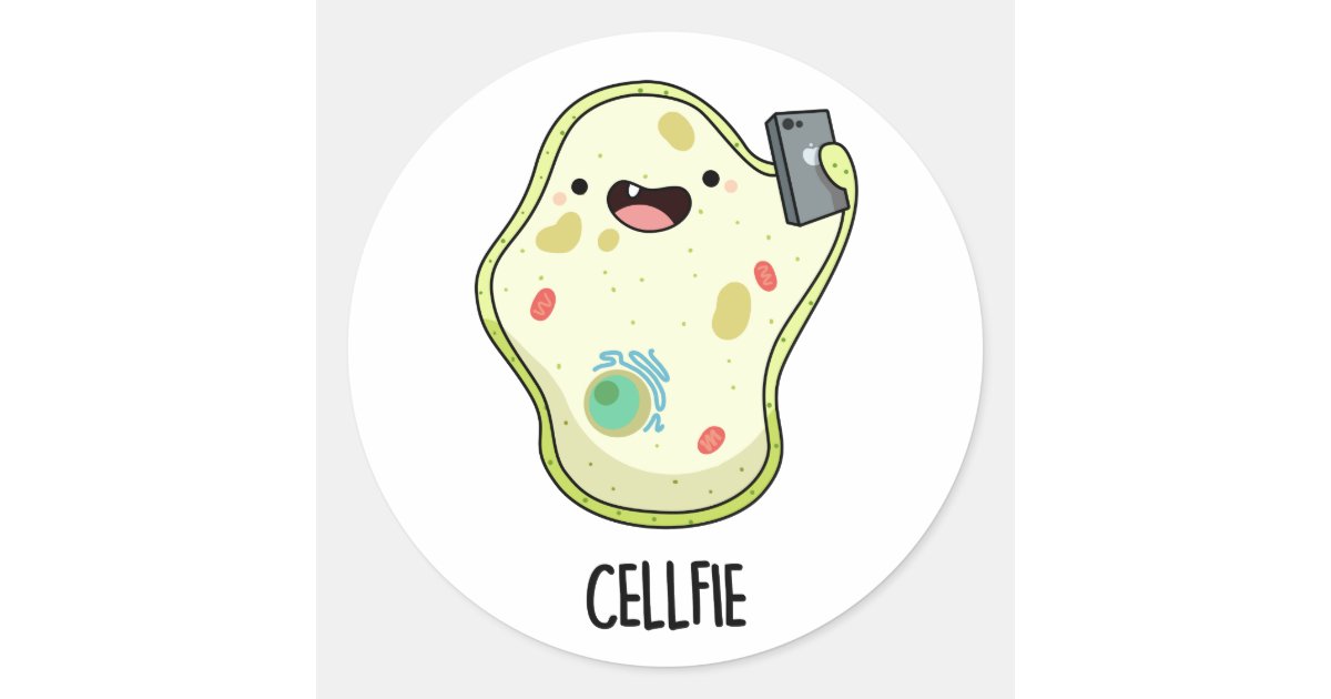 Cellfie Funny Biology Selfie Pun Classic Round Sticker | Zazzle
