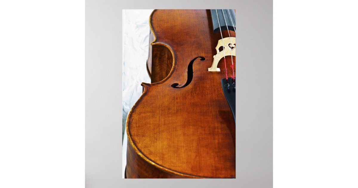 Cello Poster | Zazzle