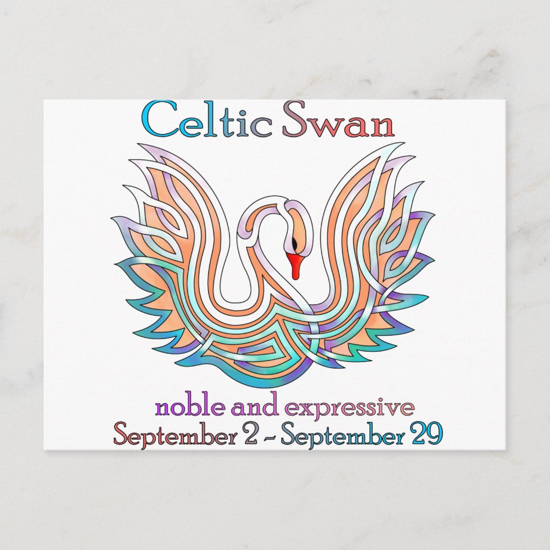 Celtic Swan Postcard | Zazzle