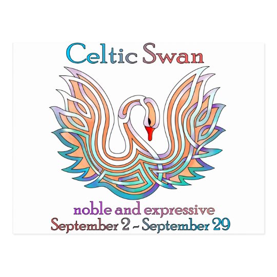 Celtic Swan Postcard | Zazzle.com
