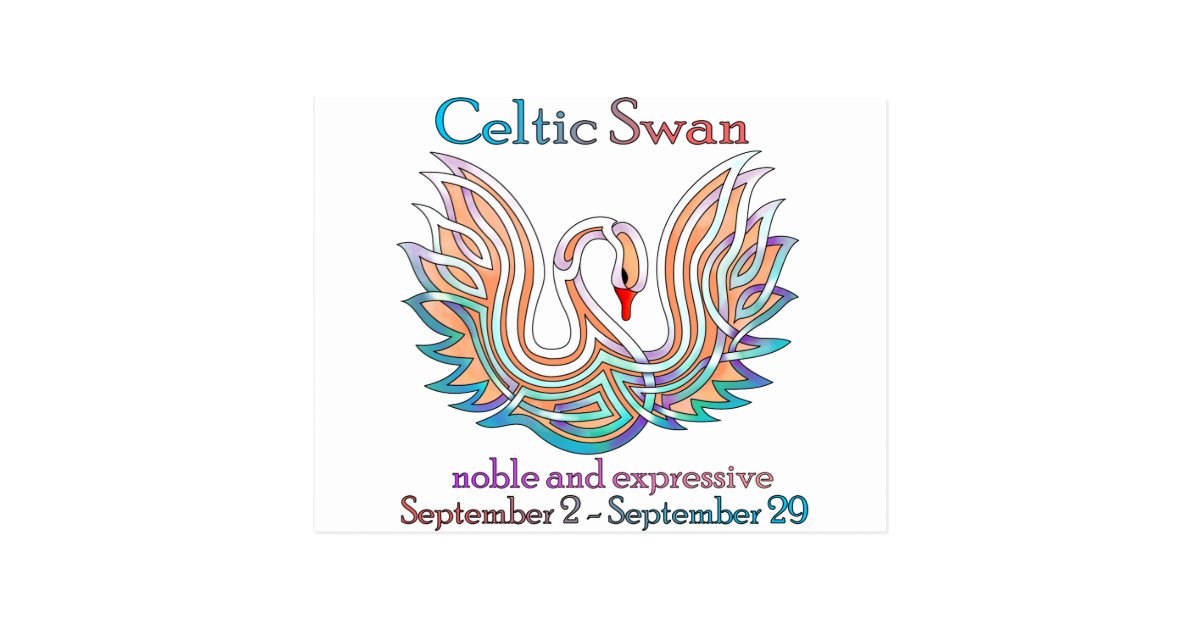 Celtic Swan Postcard | Zazzle.com