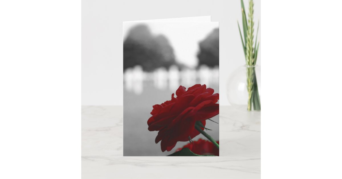 Cemetery & Red Rose - Memorial Day Card | Zazzle