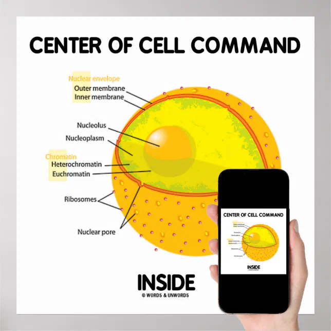 Center Of Cell Command Inside Nucleus Biology Poster | Zazzle
