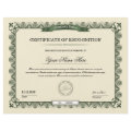 Silver Minimal Certificate of Completion Award | Zazzle