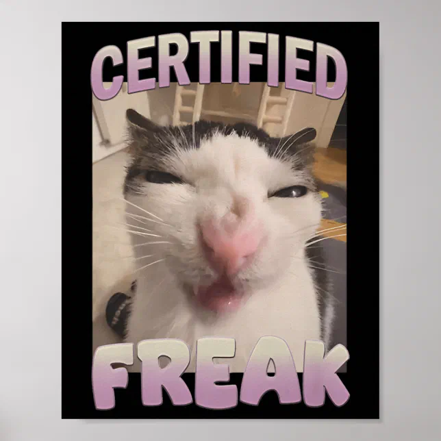Certified Freak Cat Meme Meme Offensive Memes Funn Poster | Zazzle