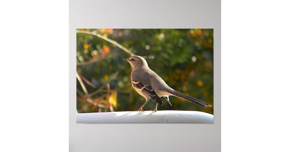 CG- Mockingbird Poster | Zazzle
