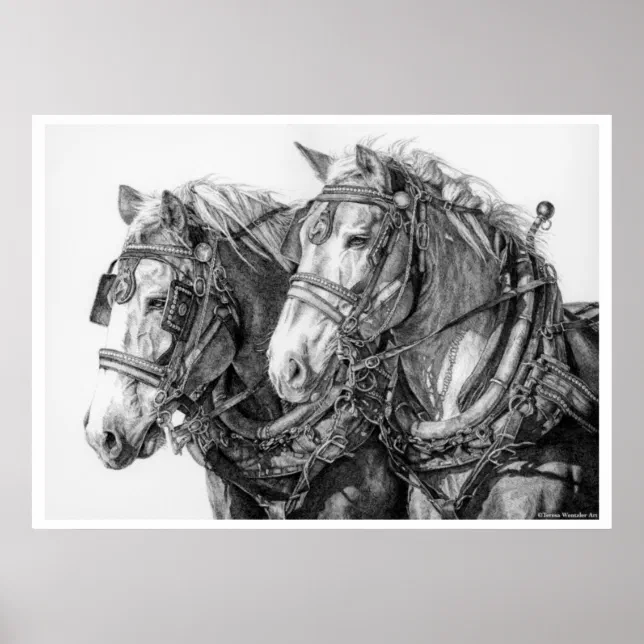 Chained to the World Draft Horses Drawing Poster | Zazzle