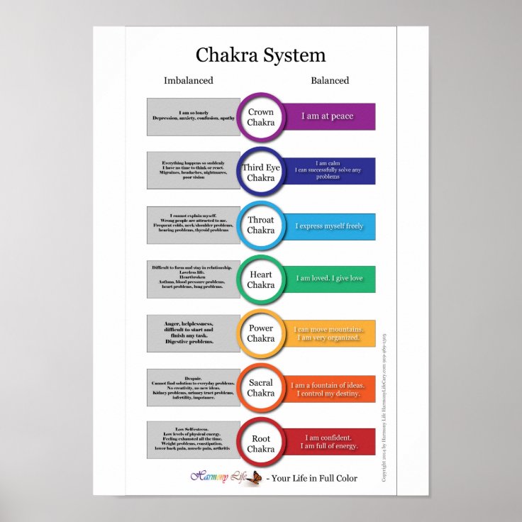Chakra System Poster | Zazzle