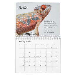 Chameleon Calendar | Zazzle