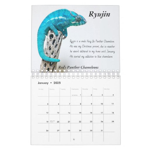 Chameleon Calendar | Zazzle