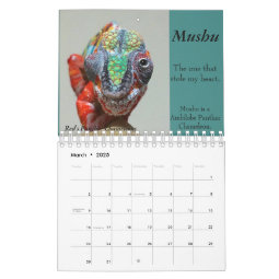 Chameleon Calendar | Zazzle