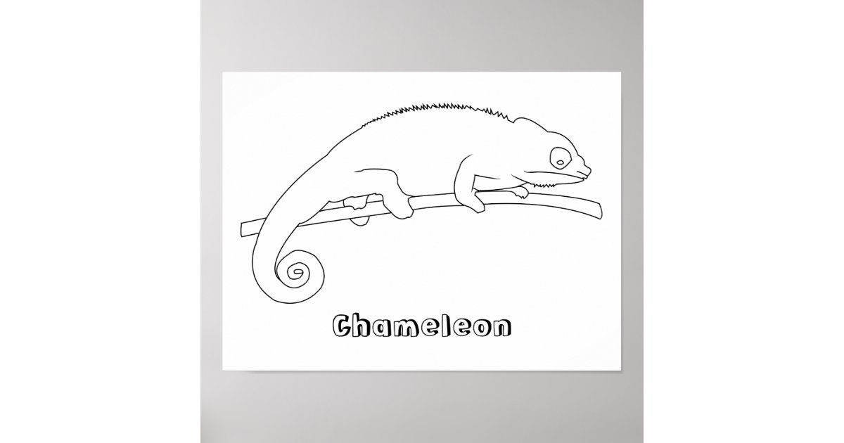 Chameleon Outline Drawing Posters | Zazzle