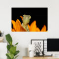 chameleon poster | Zazzle