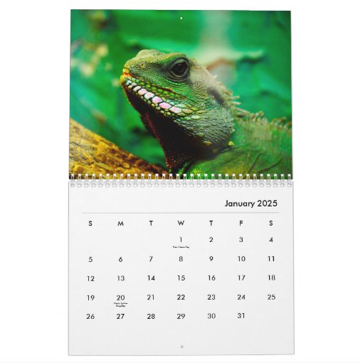 Chameleon Wall Calendar | Zazzle